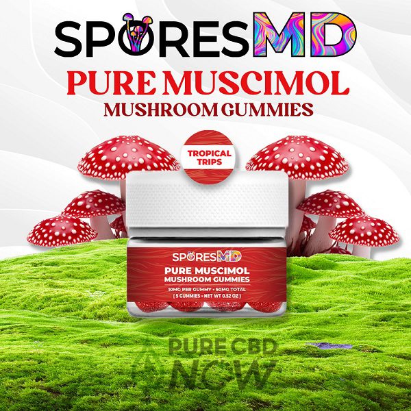Shop Premium Muscimol Gummies